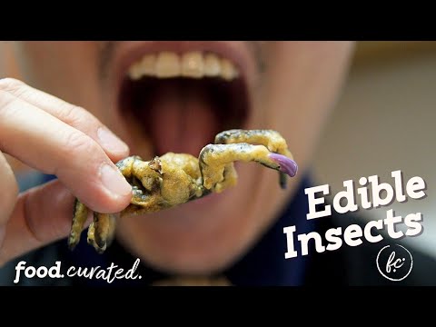 Deep Frying Tarantula & Eating Bugs Cooked by NYC's Bug Chef 🐜