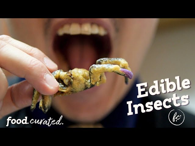 Making Fun Food Insects Invasive Stink Bug Makes Province's Apple