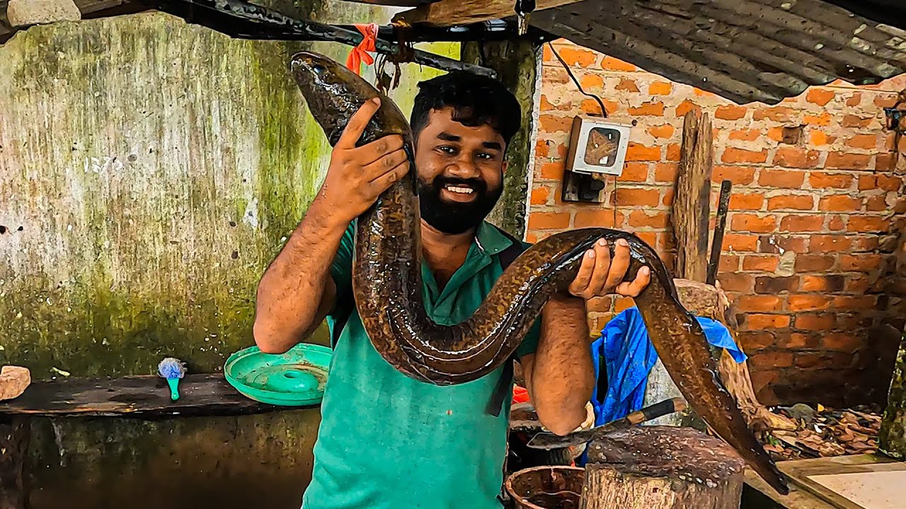 Never Seen!! 6.5 Kg RESCUING Injured EEL From DEATH!! The Biggest Live ...