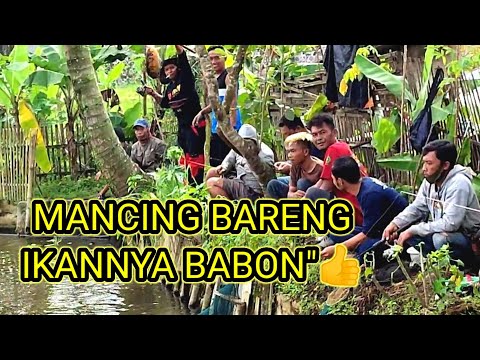 Mancing Asyik Dan Enjoy Ikannya Super Mantap‼️