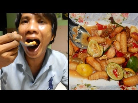 WOW AMAZING -EAT LIVE WORMS IN CAMBODIA | eating live worms | กินนอน ...