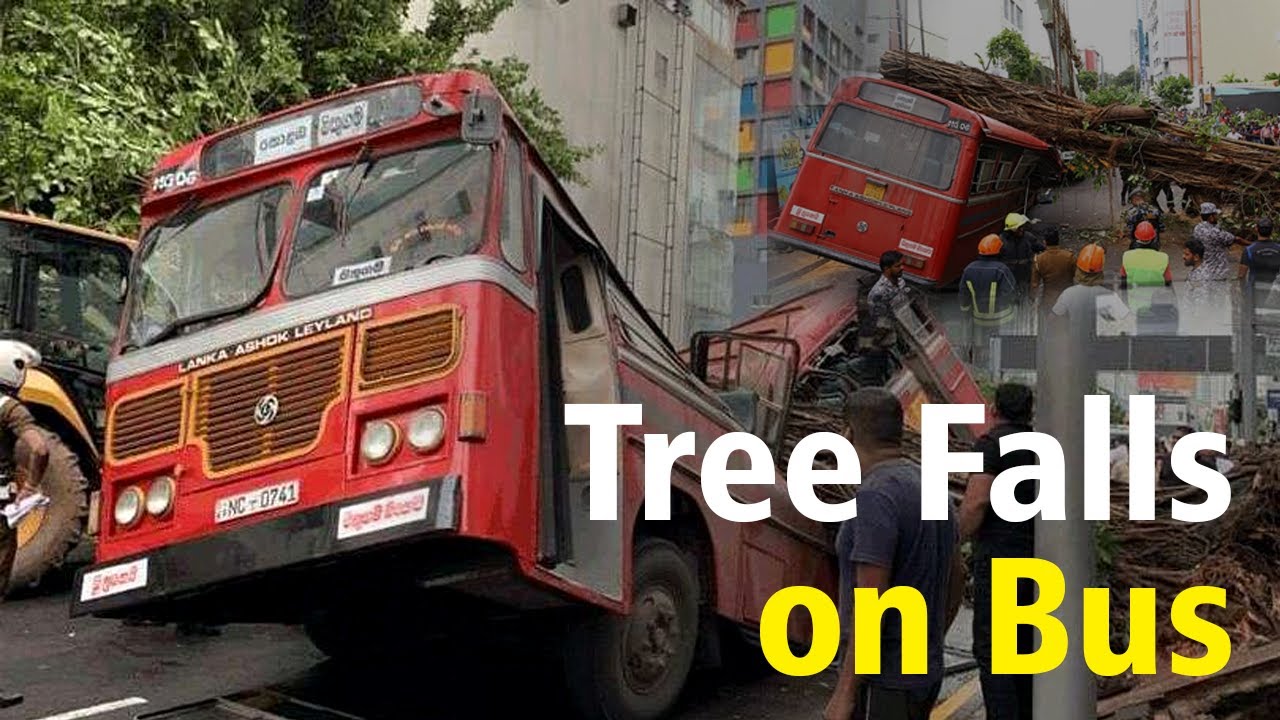 Tree Fell on Bus | Accident #busaccident #srilankanews - YouTube