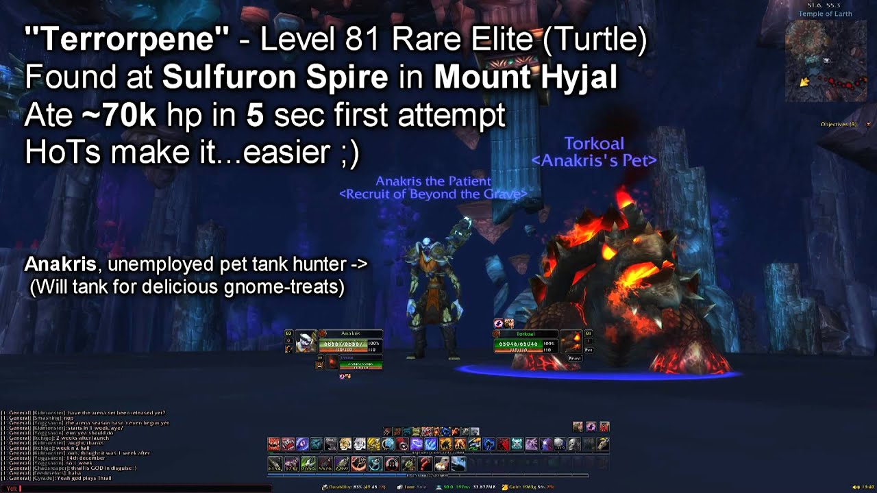 Terrorpene - check! (Fixed) - YouTube