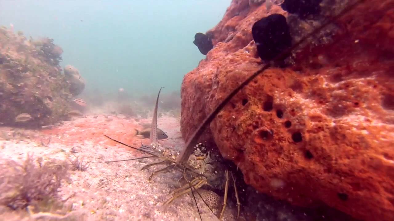 Content Keys mini season 2015 - YouTube