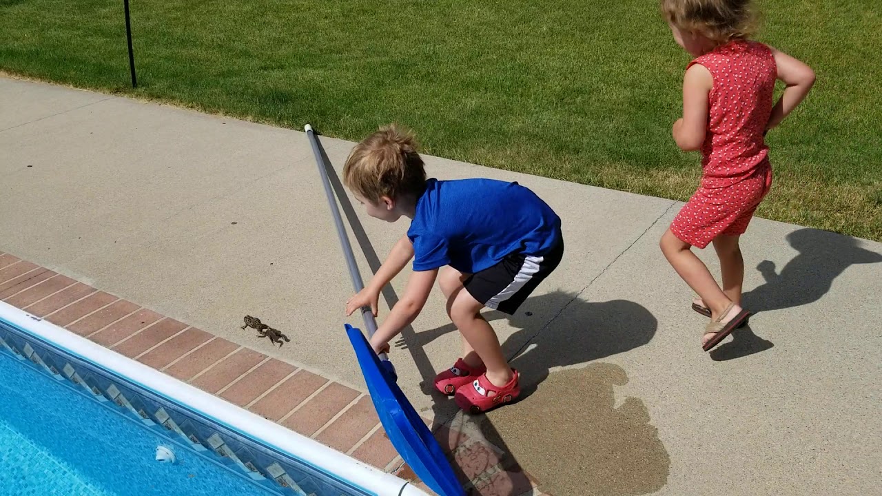 Frog Rescue Team in full action. Frog Patrol, Frog Patrol! - YouTube