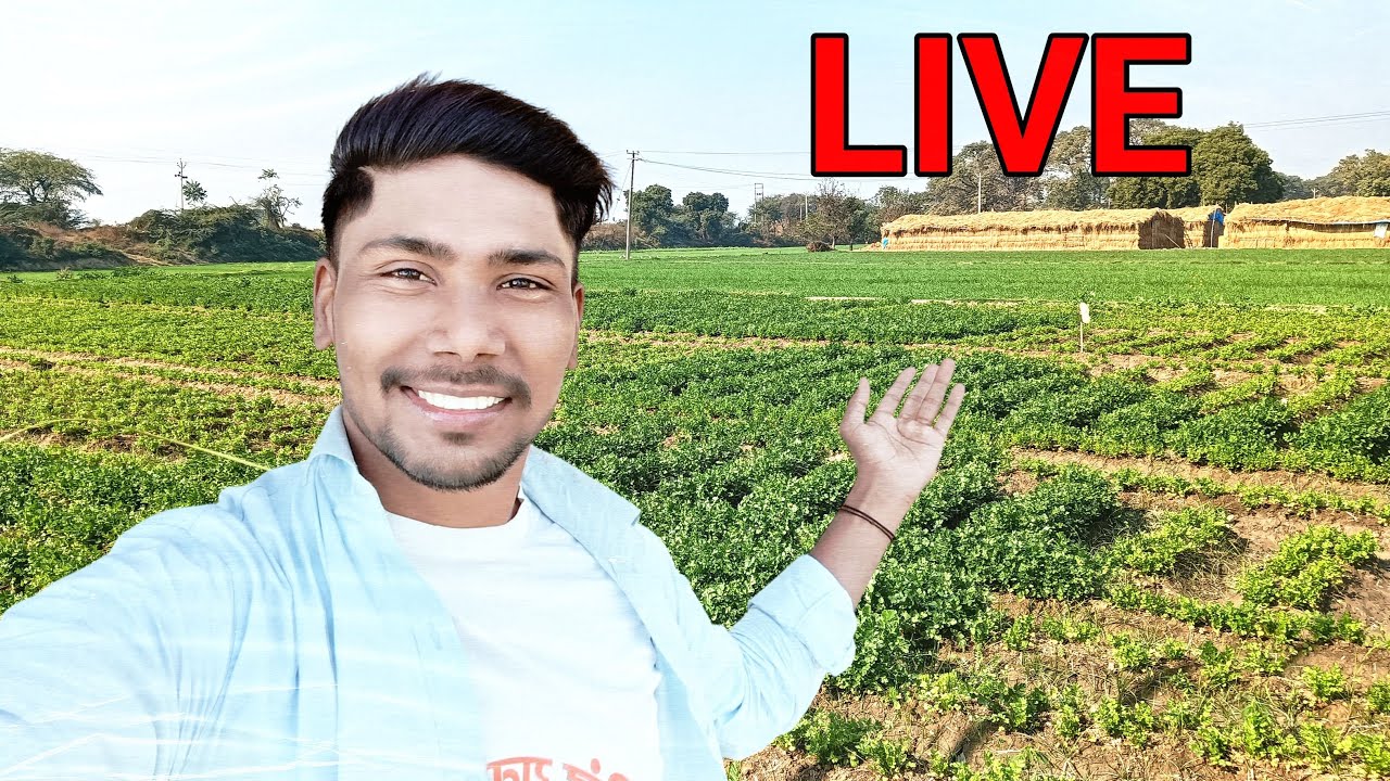 Pardeep Saini Vlogs Is Live - YouTube