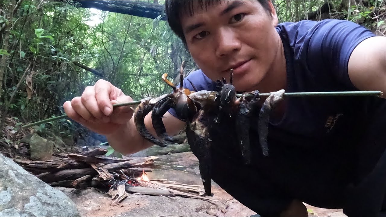 make safe shelter and forage in the jungle.F1 - YouTube