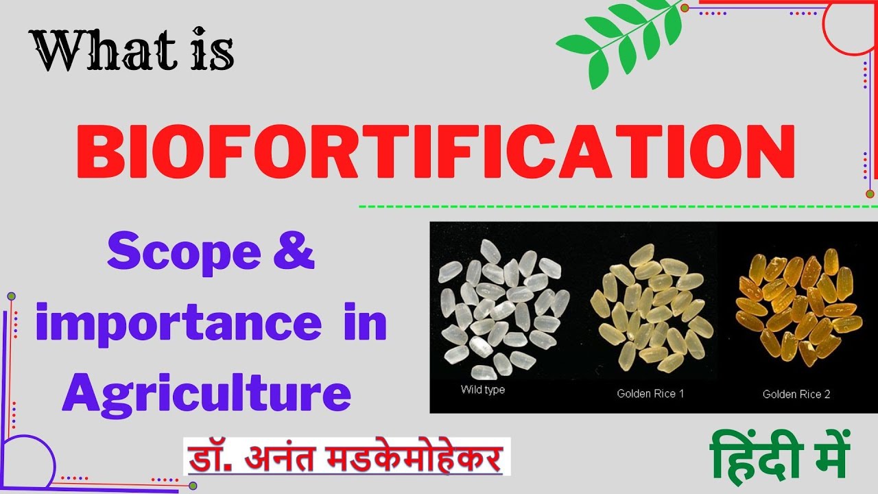 What is Biofortification in Agriculture? - YouTube