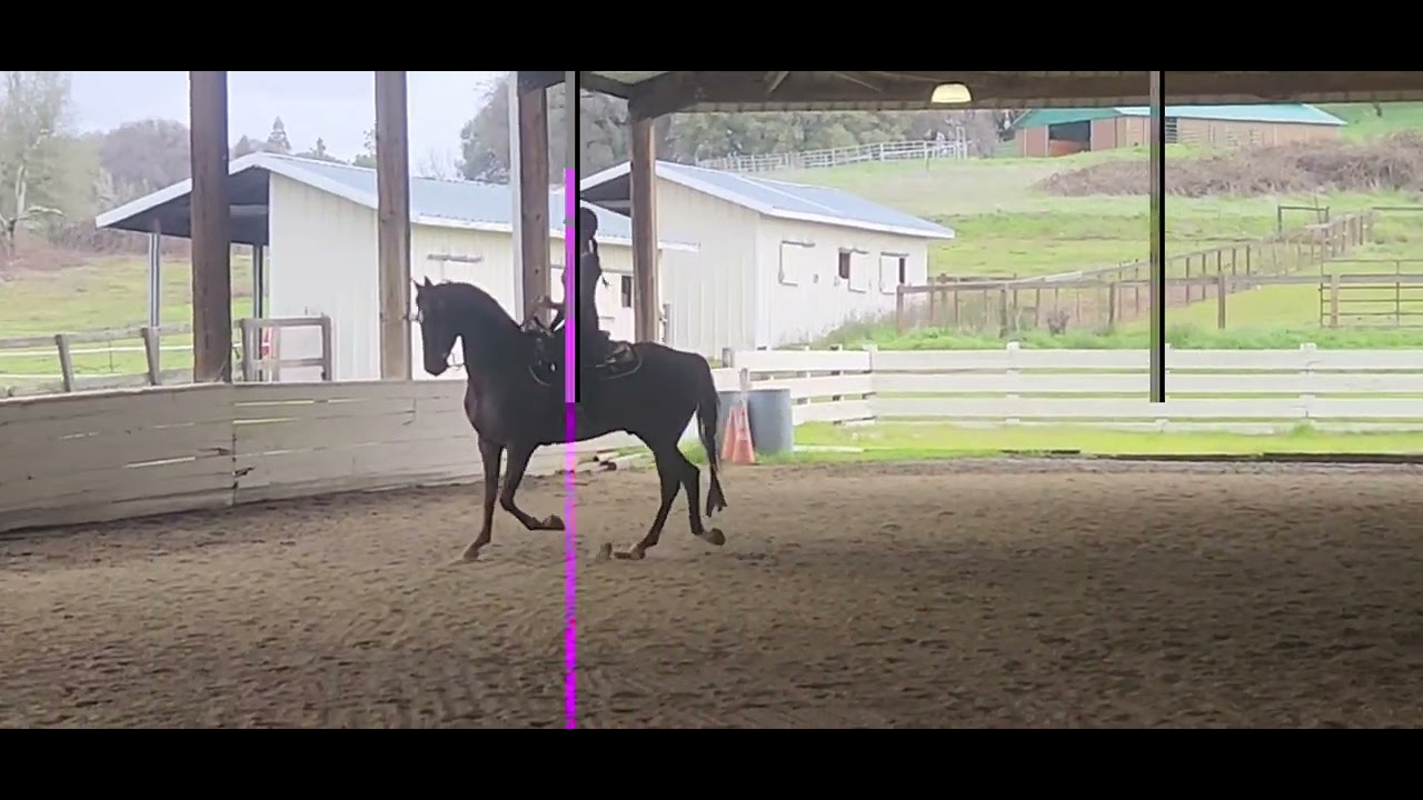 Ashlyn/Rudy YOTY - YouTube