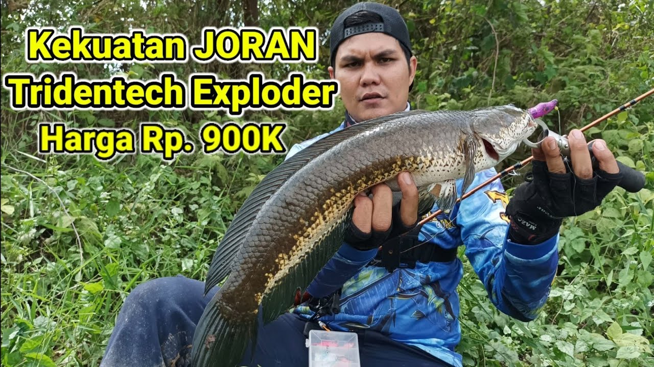 test JORAN TRIDENTECH EXPLODER PE 2 || JORAN TRIDENTECH EXPLODER - YouTube