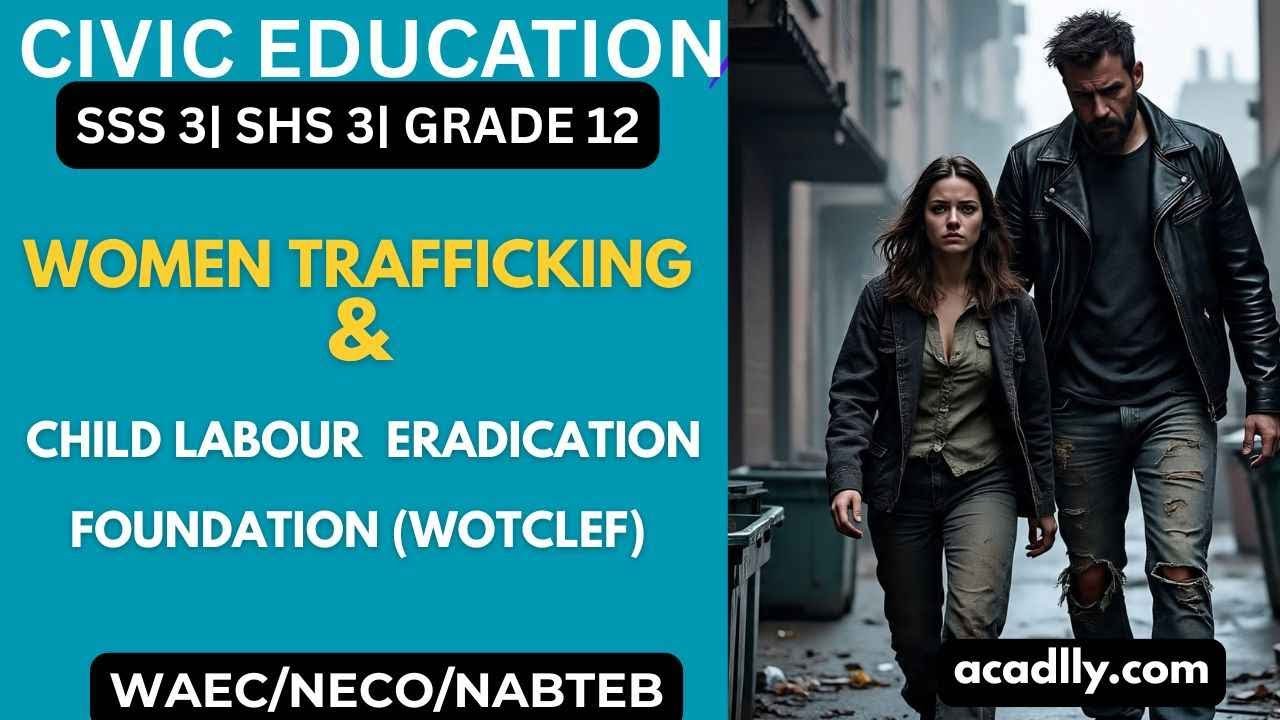 Women Trafficking And Child Labour Eradication Foundation Wotclef ...