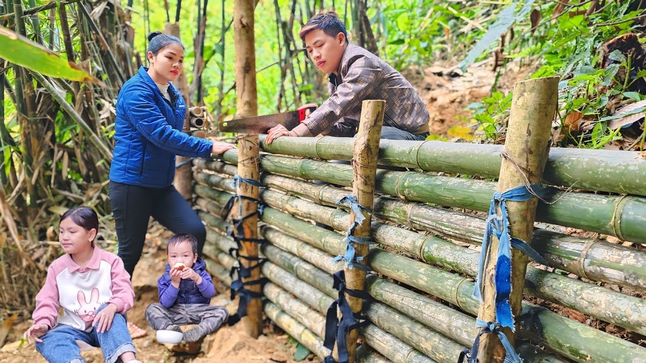 How to make a bamboo fence - pig farming - daily life on the farm | Hà ...