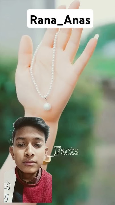 Rana Anas #puppy #funny #pets - YouTube