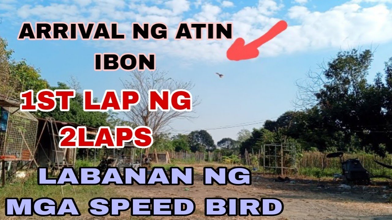 SAN MANUEL PANGASINAN 1ST LAP NG 2LAPS LABANAN NG SPEED BIRD | KARERA ...