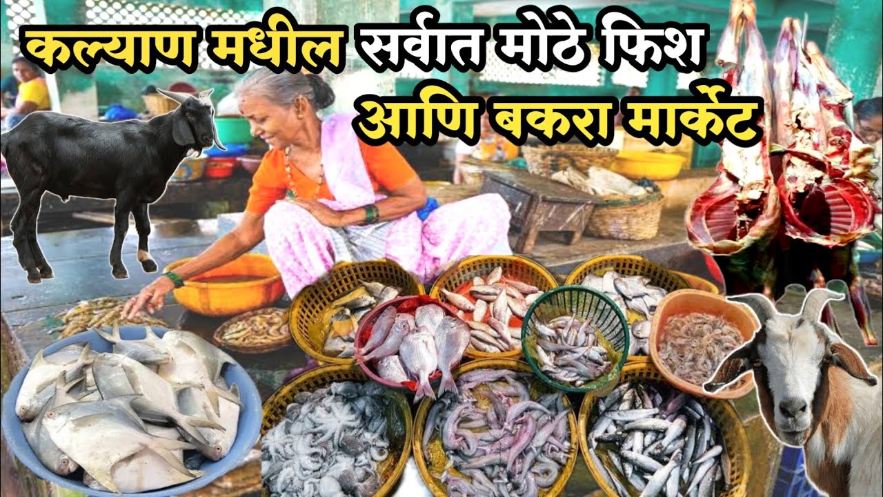 कल्याण मधील सर्वात मोठे मच्छी आणि मटण मार्केट 😍 | Kalyan Wholesale Fish ...