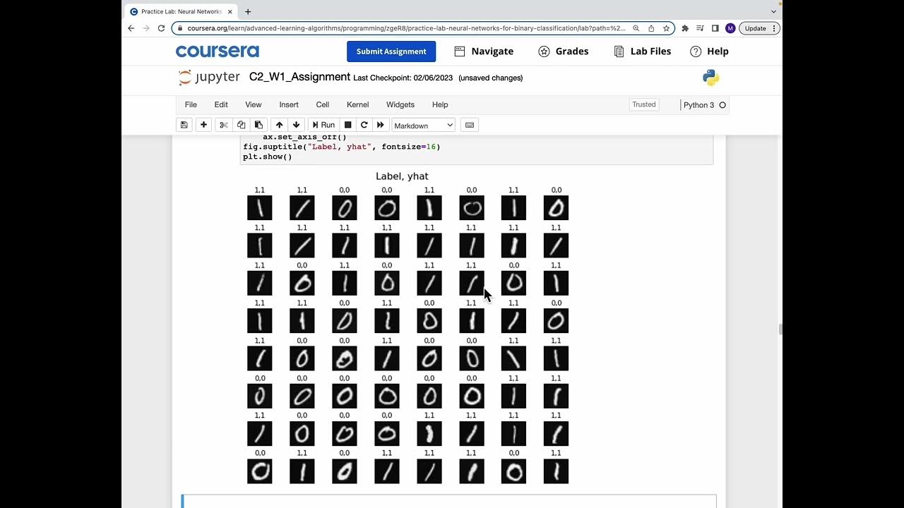Machine Learning Coursera Practice Lab | Neural Networks for Binary ...