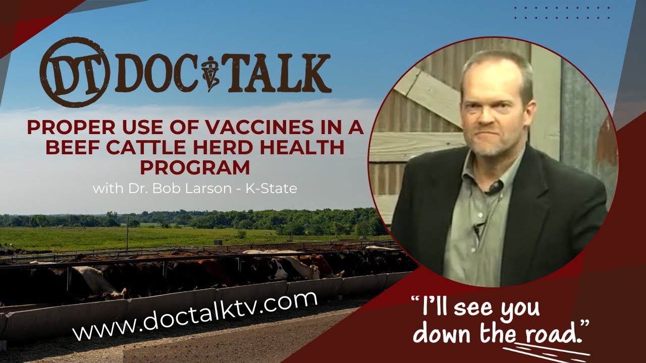 DocTalk Ep 34 - Proper Use of Vaccines in a Beef Cattle Herd Health ...