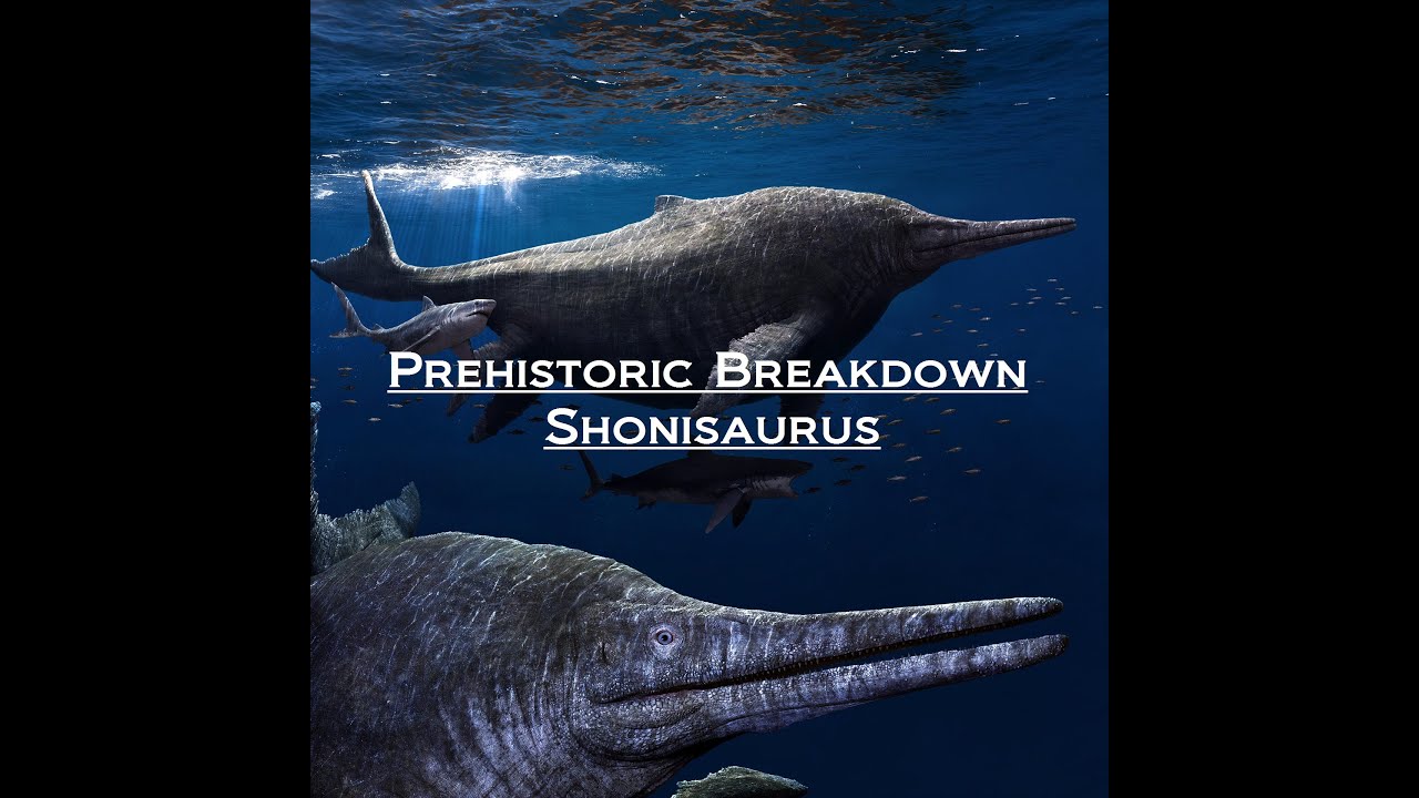 Prehistoric Breakdown: Shonisaurus - YouTube