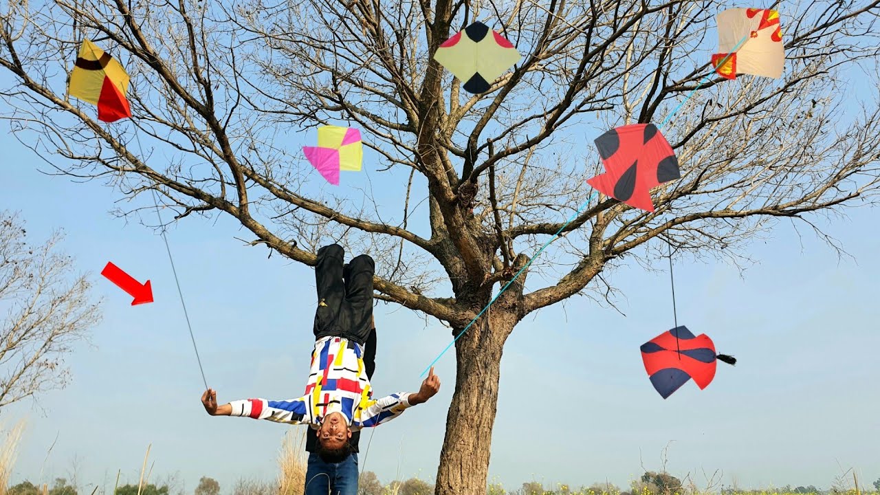 Caught kite With Trees - YouTube