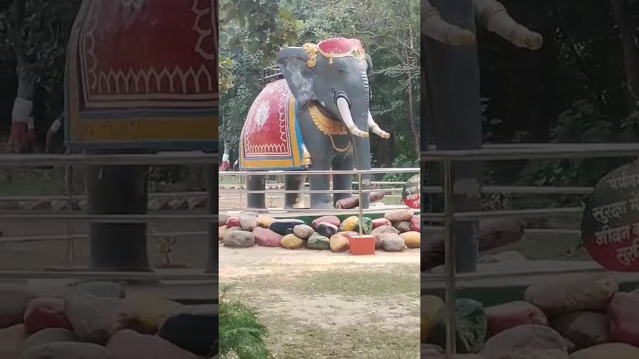 Ek Mota hathi#song#trend#youtubeshorts#viralvideo#trending#All in one ...