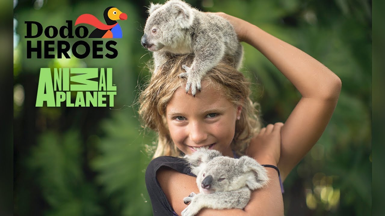 Dodo Heroes Series Trailer - YouTube