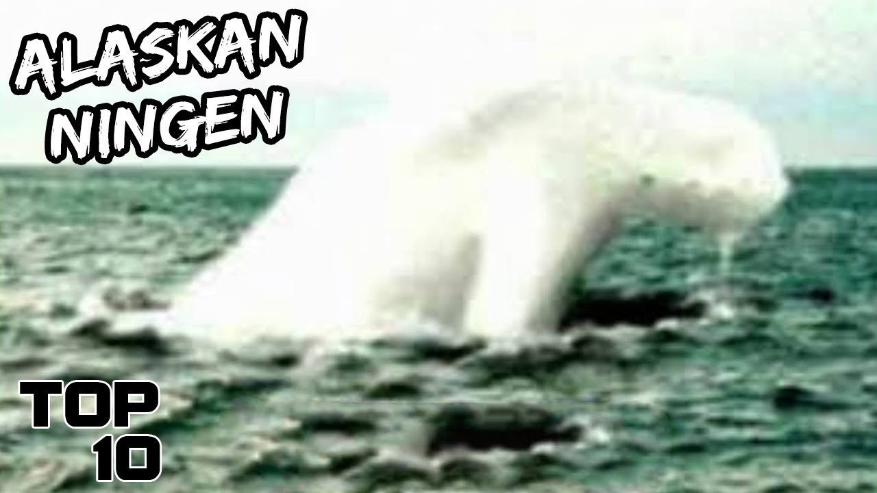 Top 10 Weirdest Things Discovered In Alaska - YouTube