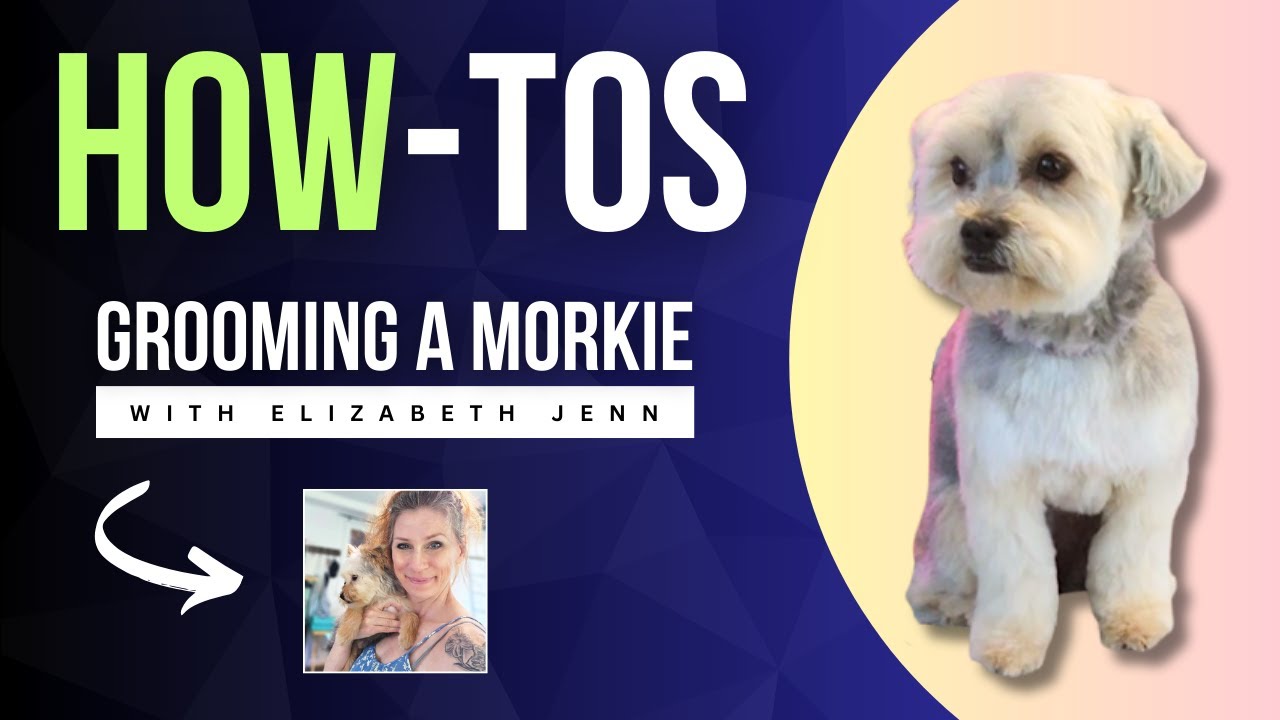 Dog Grooming Full Groom ( How-To, Dog Grooming) - YouTube