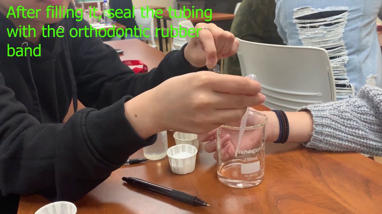 Chem Lab Video Experiment 1 (Dialysis Tubing) - YouTube