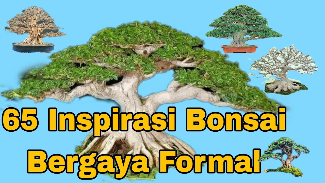 65 Inspirasi Bonsai bergaya formal // formal style bonsai inspiration # ...