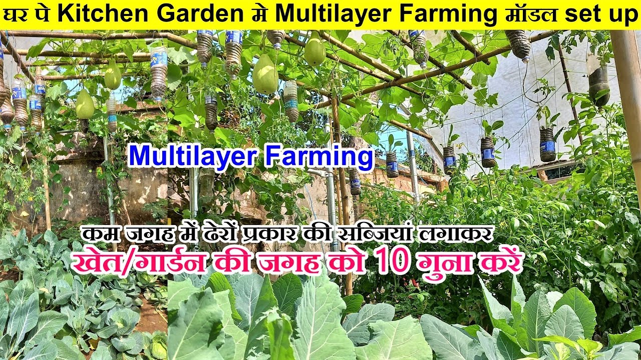 Multilayer Farming|कम जगह में लगाएं ज्यादा प्रकार की सब्जियां |खेती ...