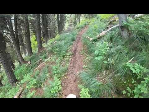 Single track trail riding - YouTube