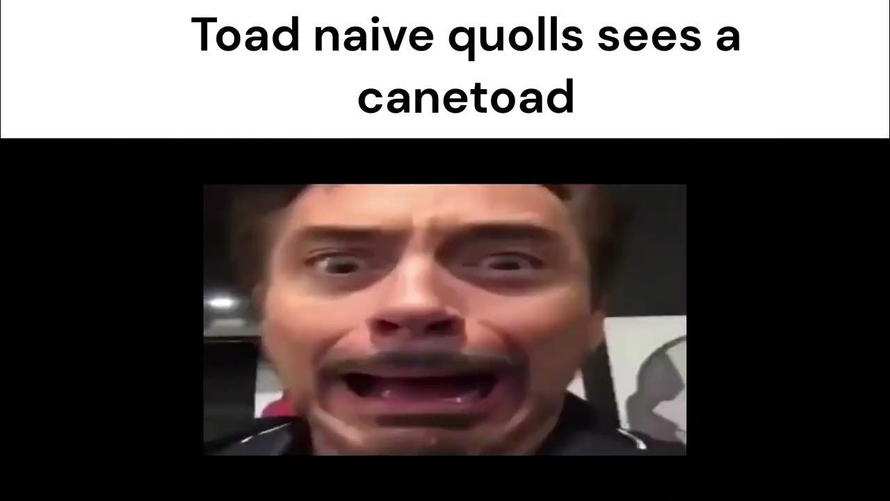gat-memes-vce-2023-youtube
