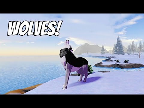 Wolves! | Animal Life: Forest Roleplay. | Wolf Log #1 - YouTube