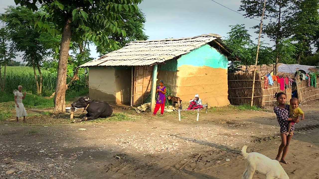 Village Life India Daily Routing Work ) Natural Village Life Style In ...