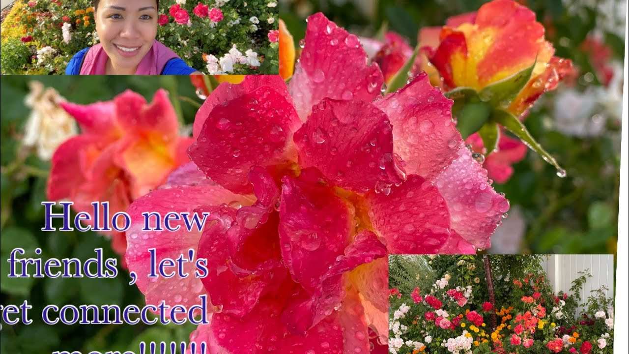 Hello beautiful people.. - YouTube