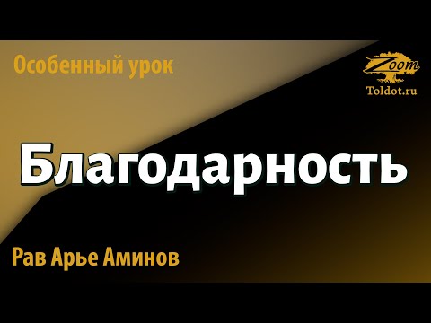 Благодарность. Рав Арье Аминов