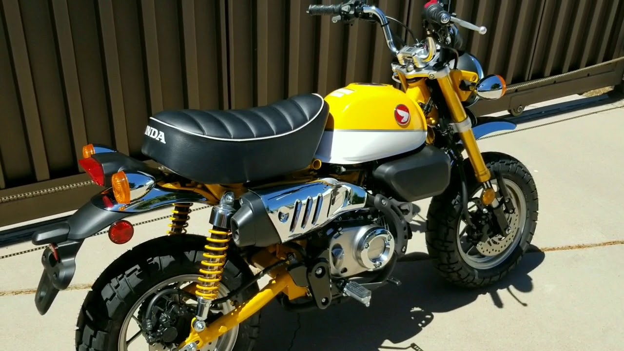 2019 Honda Monkey Walk Around - YouTube