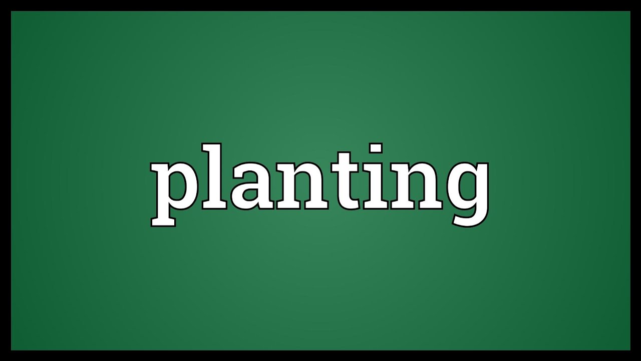 Planting Meaning - YouTube