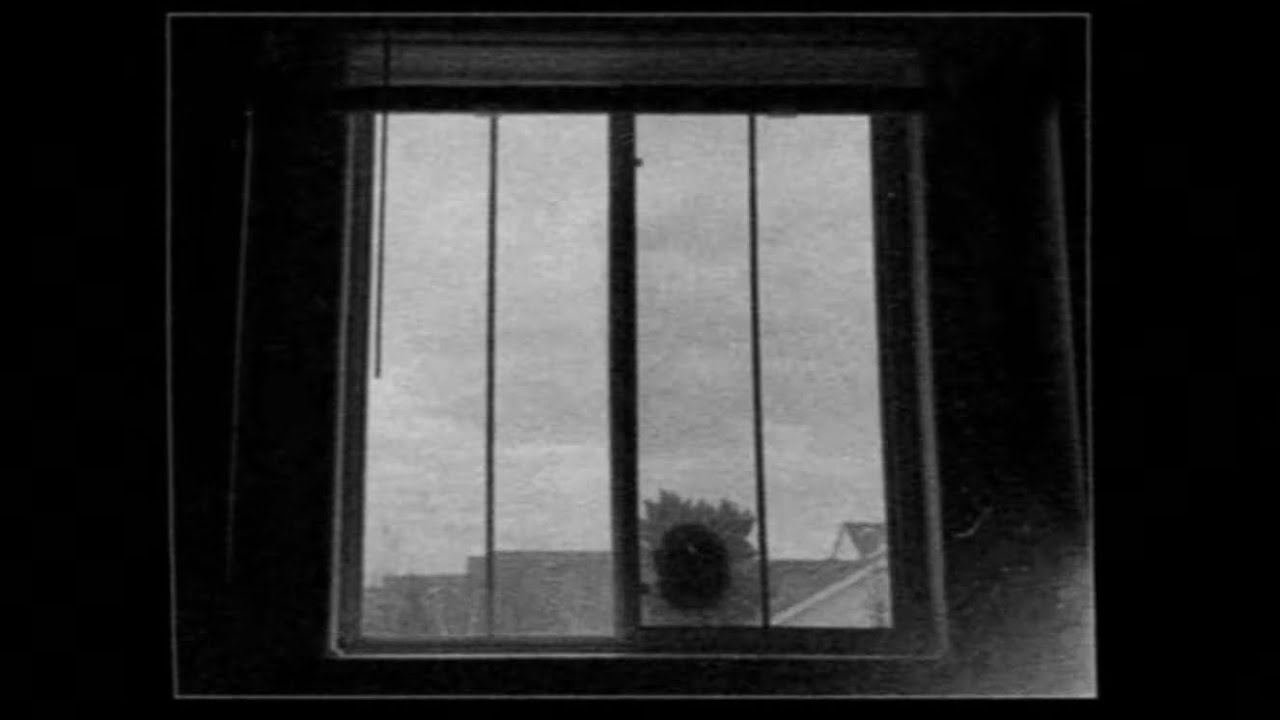 This Analog Horror Makes You TERRIFIED of Plants. | [Botanophobia ...