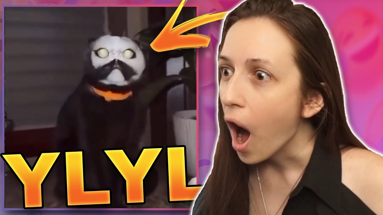 DON'T LAUGH OR ELSE. ~ YLYL #31 - YouTube