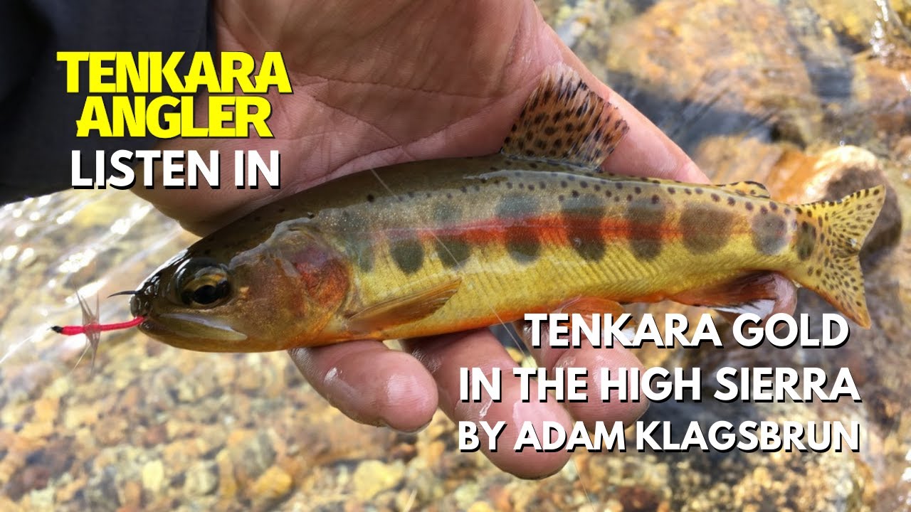 Listen In - Tenkara Gold in the High Sierra - Tenkara Angler Audio ...