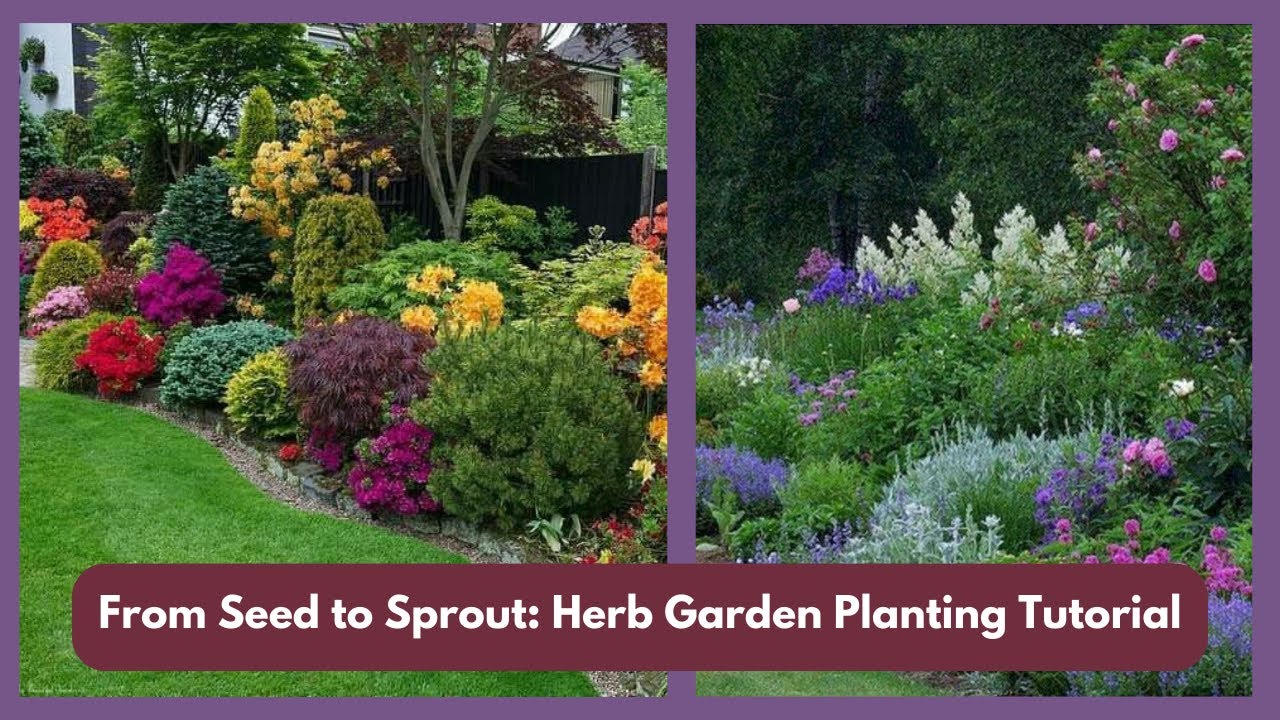 From Seed to Sprout: Herb Garden Planting Tutorial - YouTube