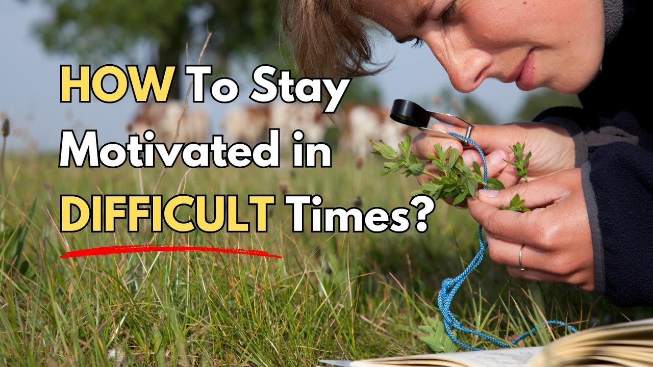 How to Stay Motivated in Difficult Times: Strategies for Success ...