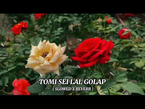 TOMI SEI LAL GOLAP (SLOWED X REVERB) BANGLA LOFI SONG - YouTube