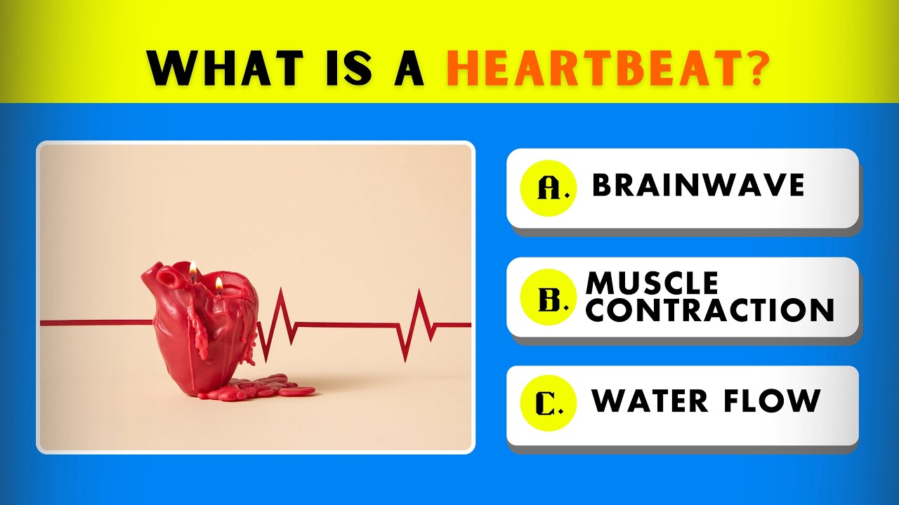 Only 1% Can Answer All 50! 🧠 Human Body Quiz Challenge You Can't Resist ...