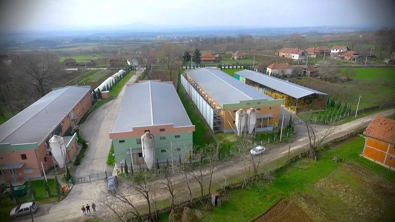 Hrana Produkt - Farma za tov pilica - Kovacevac - YouTube