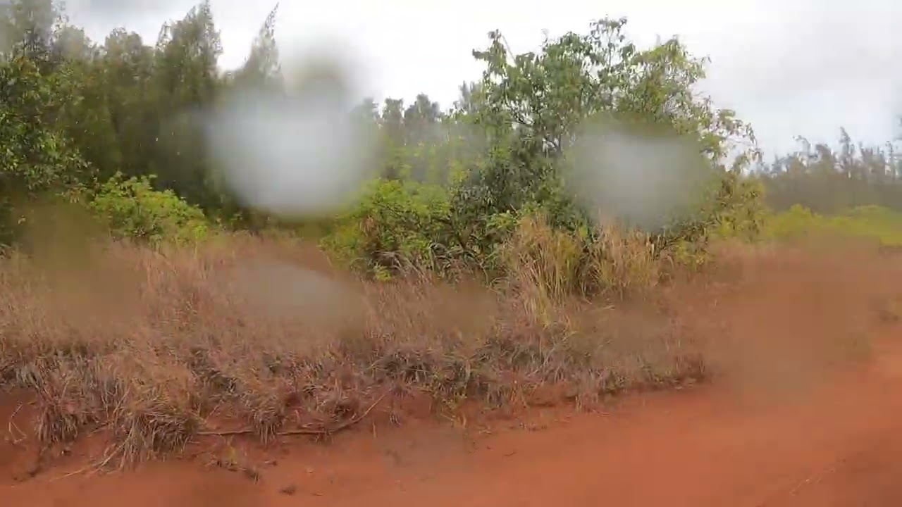 cruzing around turtle bay trail - YouTube