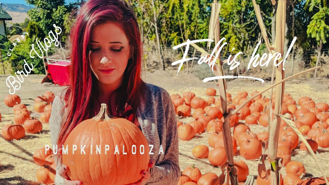 3 Reno Pumpkin Patches in 1 DAY! - YouTube