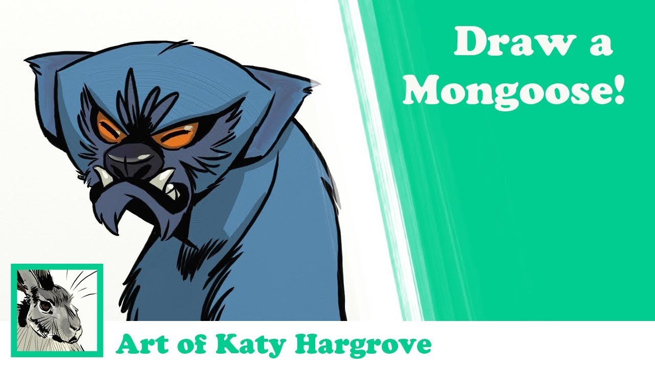 Draw a mongoose! - YouTube