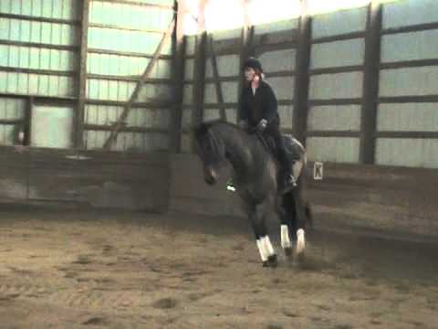 Elliott Flat video 1 - YouTube